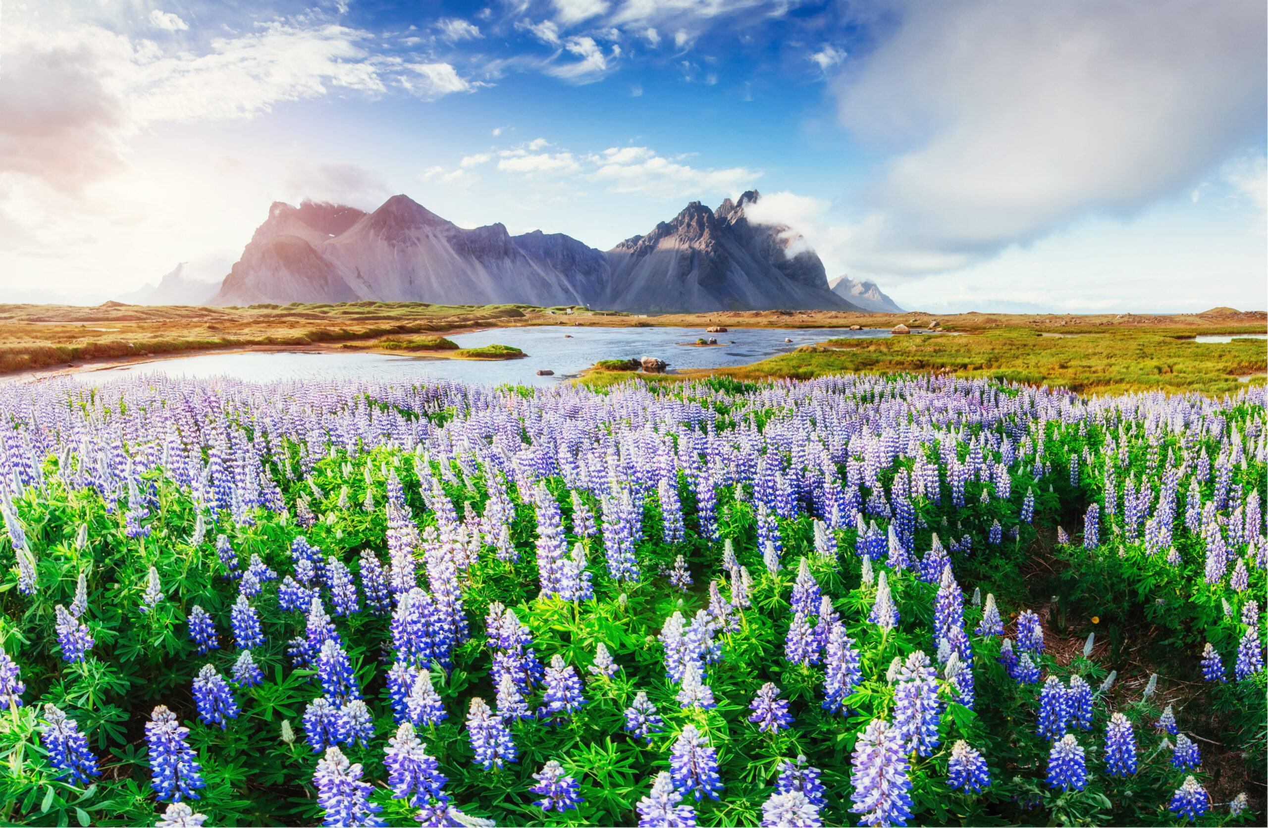 13-Night Greenland and Iceland Cruise - AAA Central Penn