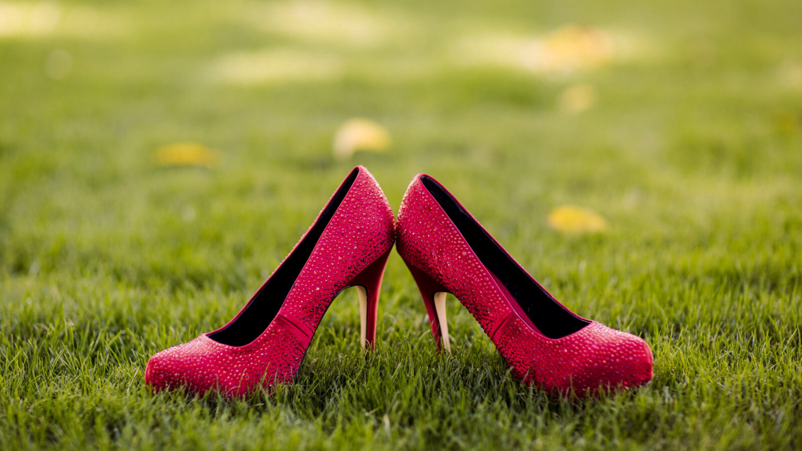 The Wizard of Oz at Toby's Dinner Theatre with the HACC Alumni ...